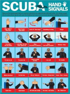 Scuba Hand Signals | Safety Poster Shop
